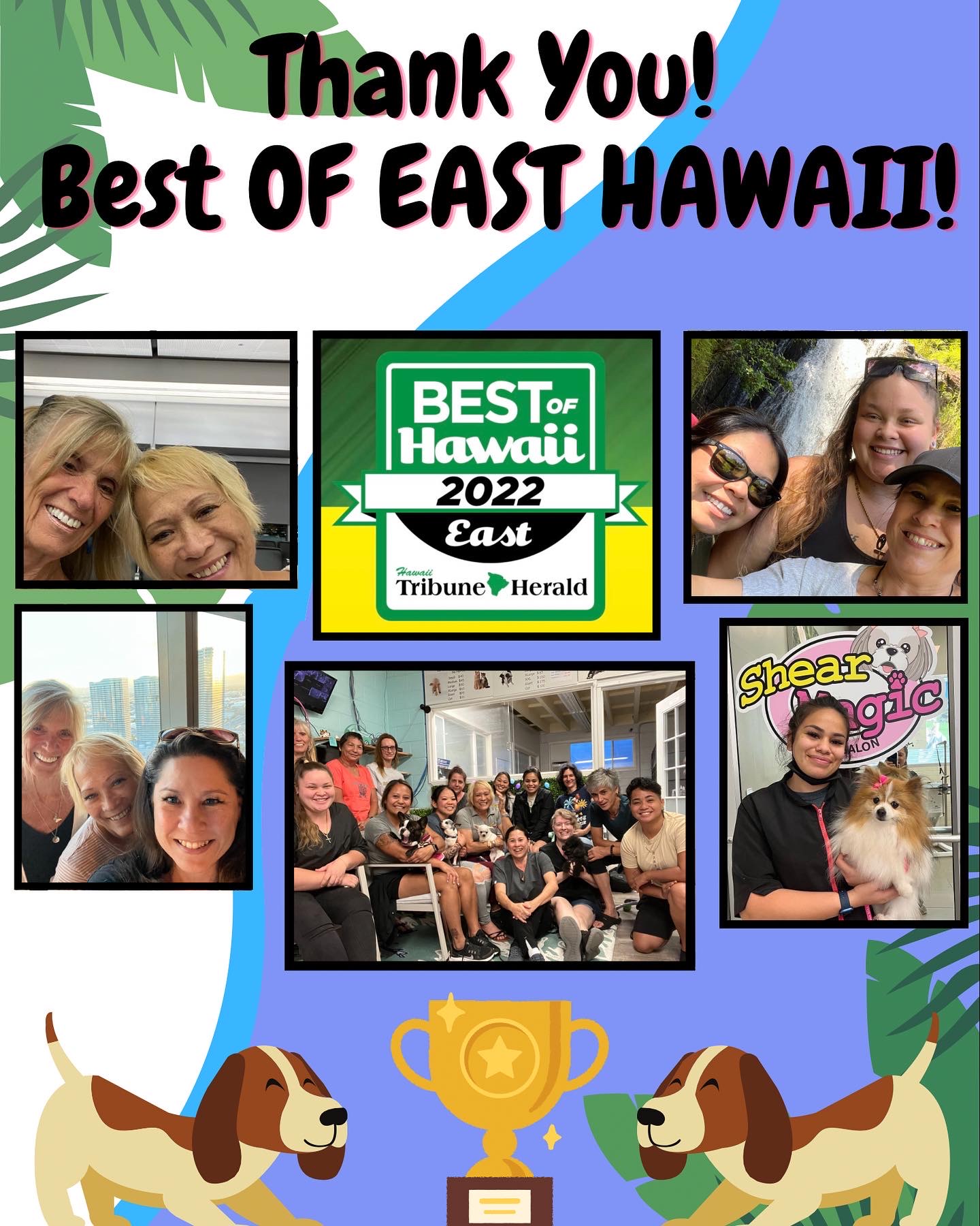 Contact Us - Shear Magic