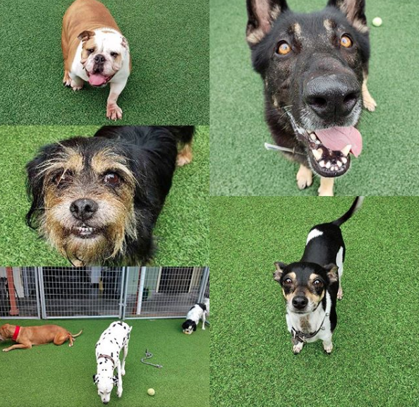 About Us - Shear Magic