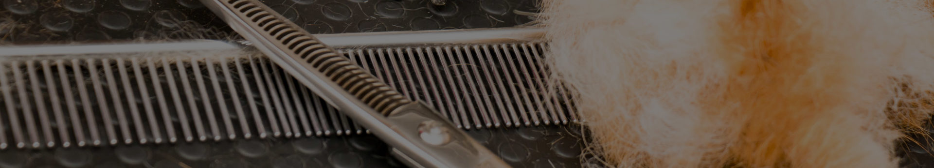 About Us - Shear Magic