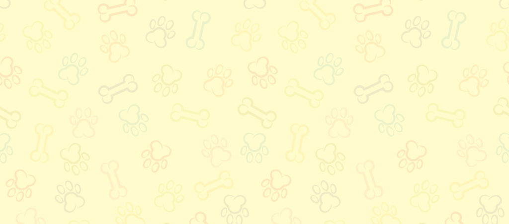 Full Service Pet Salon & Grooming Services | Hilo, HI