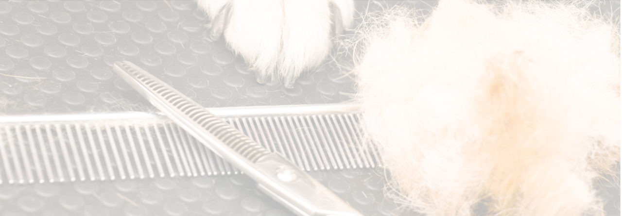 Full Service Pet Salon & Grooming Services | Hilo, HI