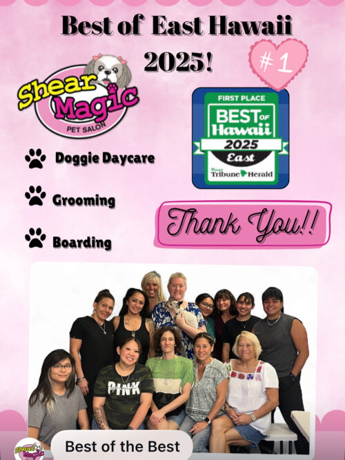 Full Service Pet Salon & Grooming Services | Hilo, HI